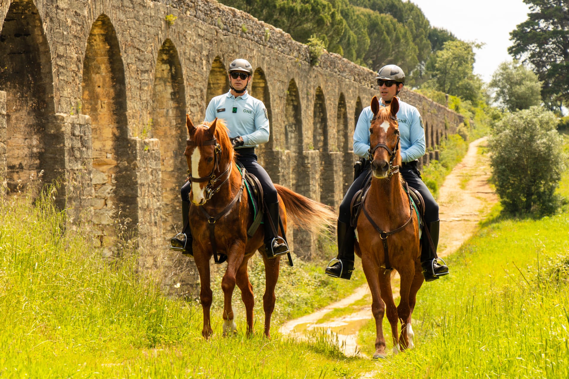 Photos de voitures de Police - Page 2891 - Auto titre