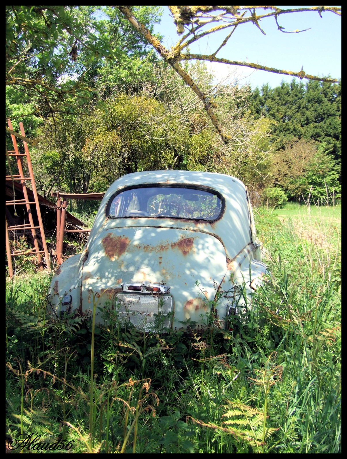 photos d'épaves - Page 54 - Auto titre