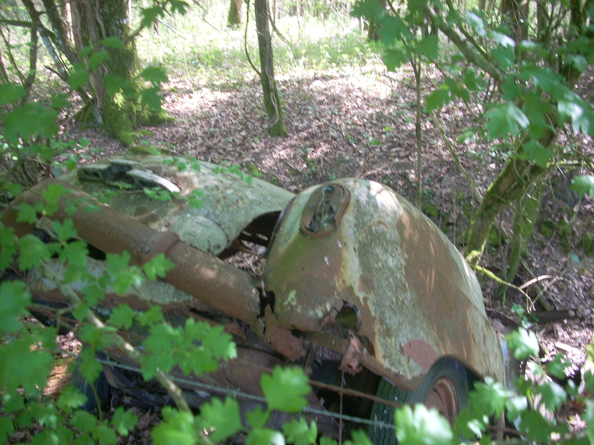 photos d'épaves - Page 59 - Auto titre