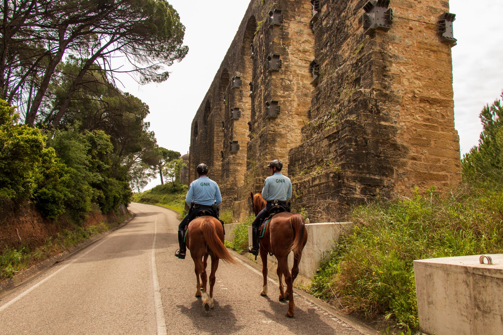 Photos de voitures de Police - Page 2891 - Auto titre