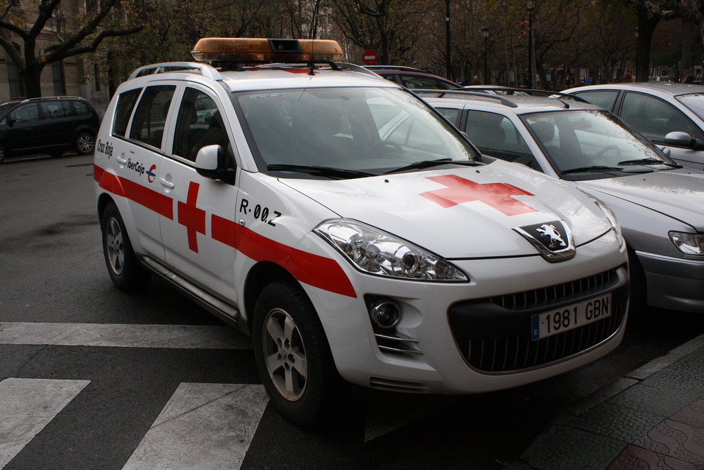 Croix Rouge Française - Page 231 - Auto titre